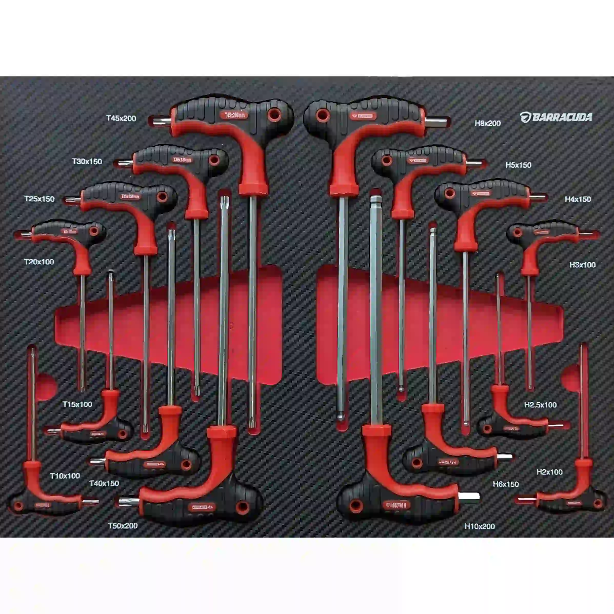 Plateau module d'outils Clés en T - Barracuda Tools - Briconium